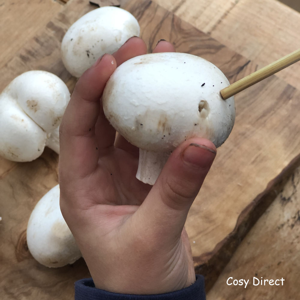 Spooky Halloween Mushroom activity | Cosy Direct Blog